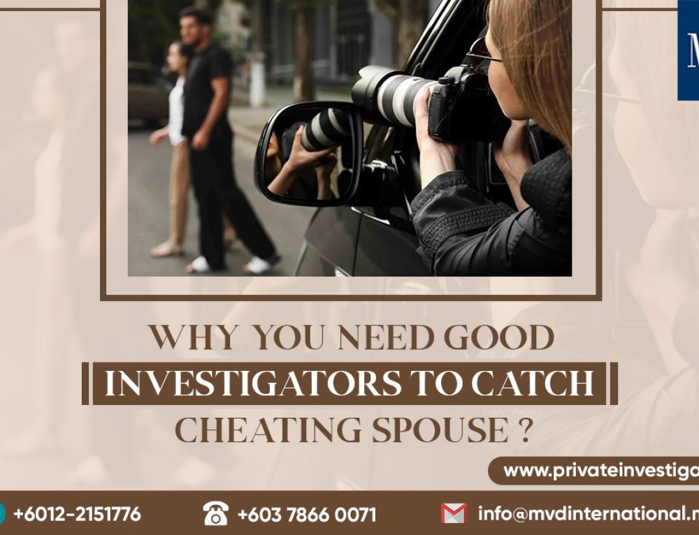 Investigations to Determine Custody of a Minor