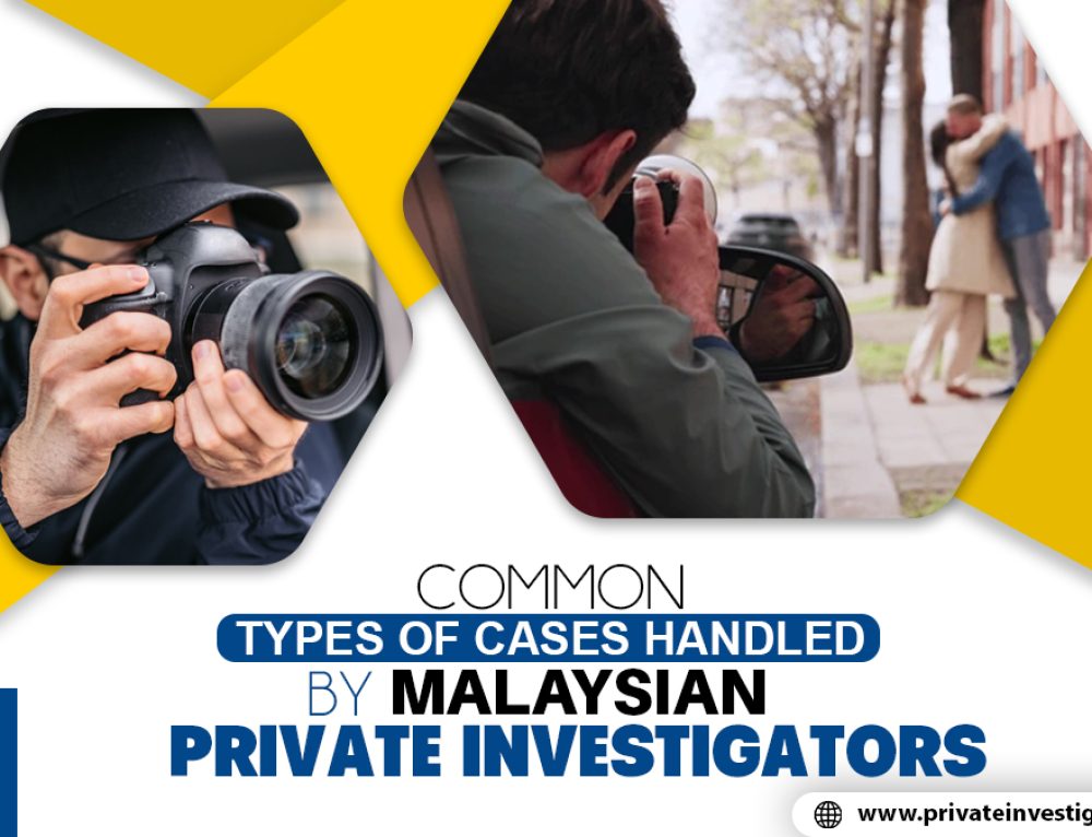 Private Investigation Malaysia: What are the roles and responsibilities ...
